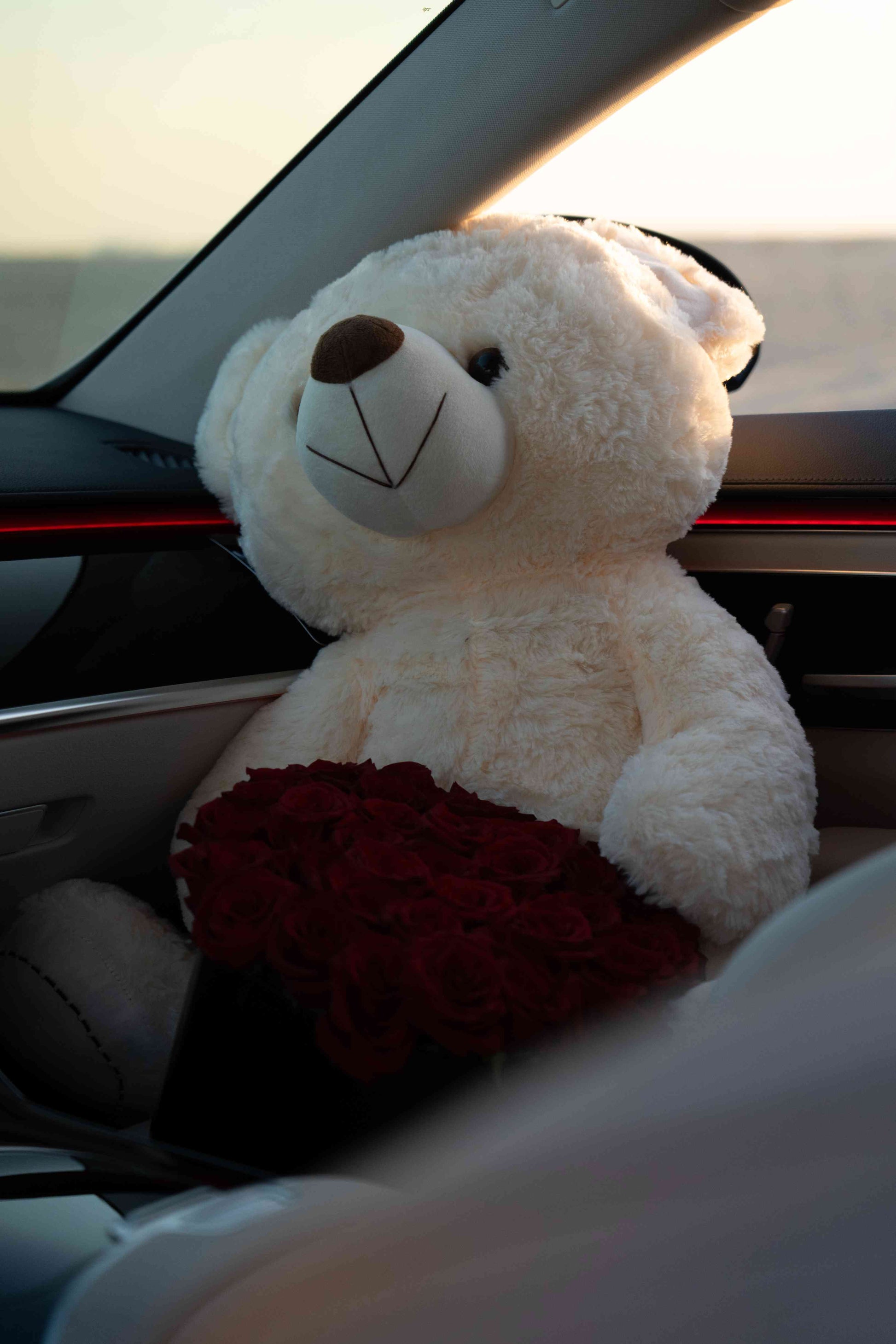 Cuddly Surprises| Teddy Bear Delivery| Flovia